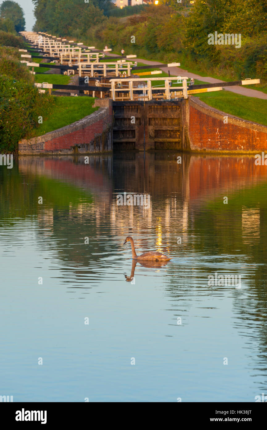 Devizes england hi-res stock photography and images - Alamy