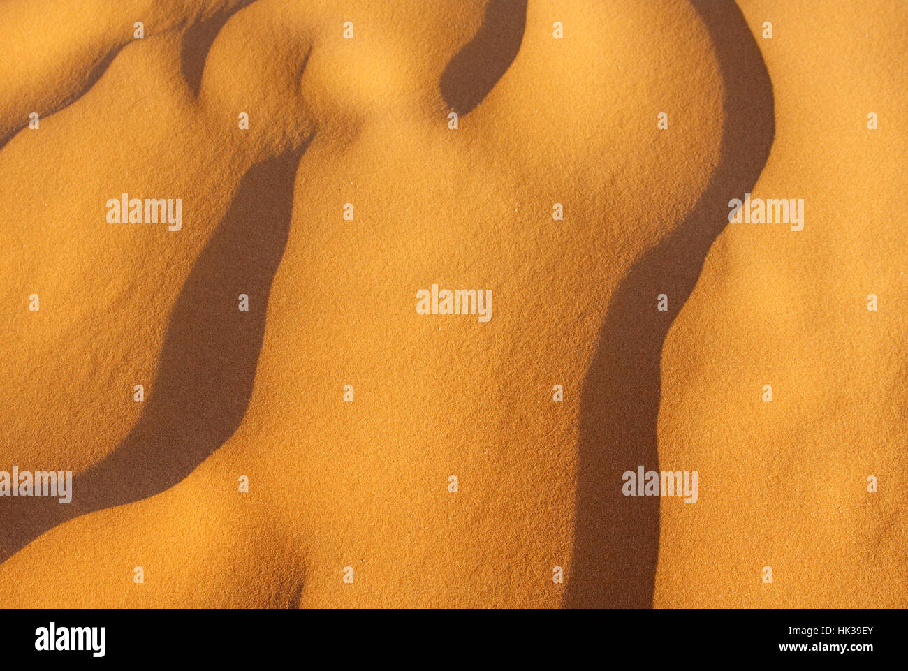 Beautiful sand patterns in the Sahara Desert, Tunisia, Africa Stock ...