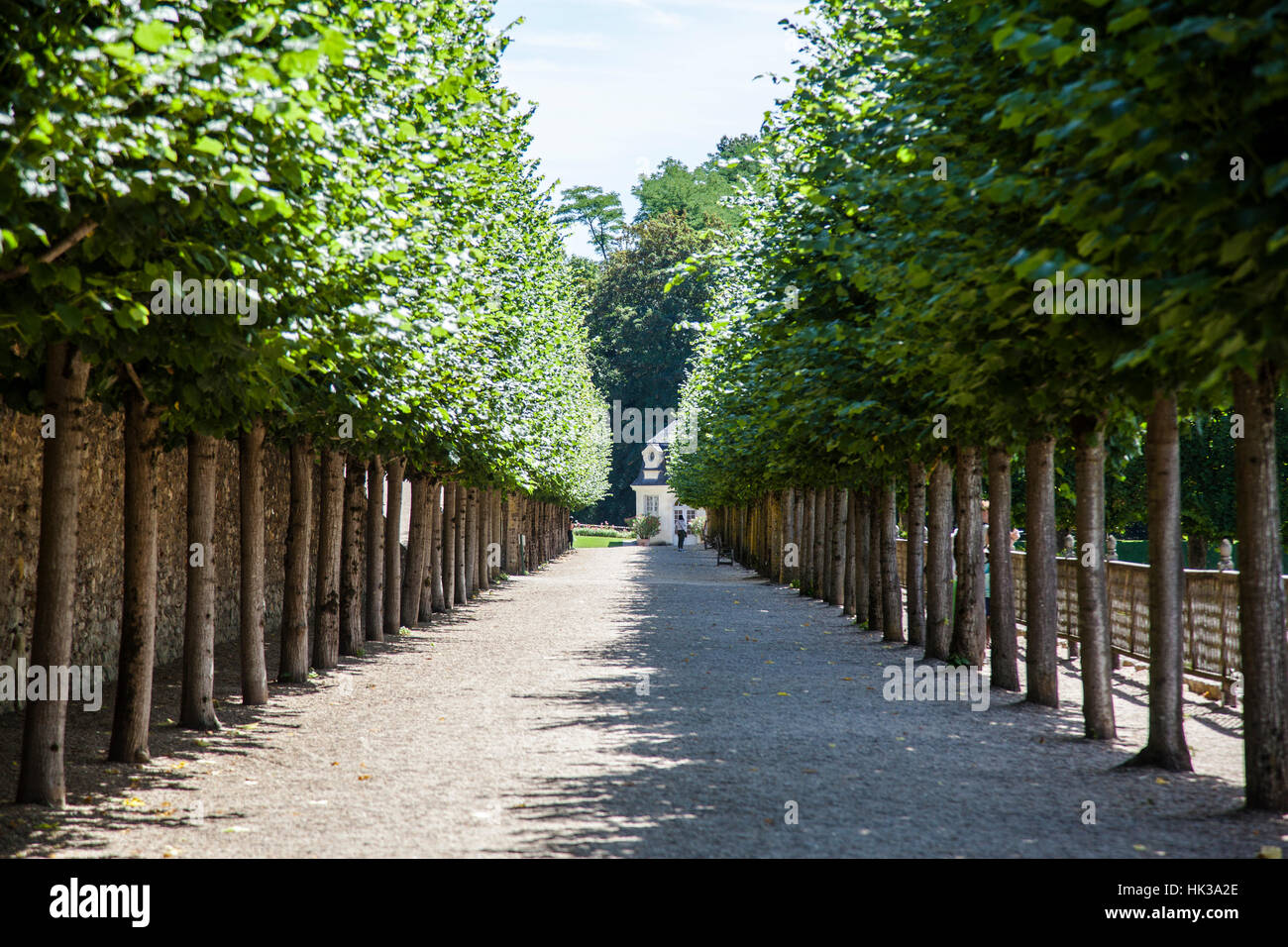 Trees alley at Villandry castle in the Loire Valley, France Stock Photo ...