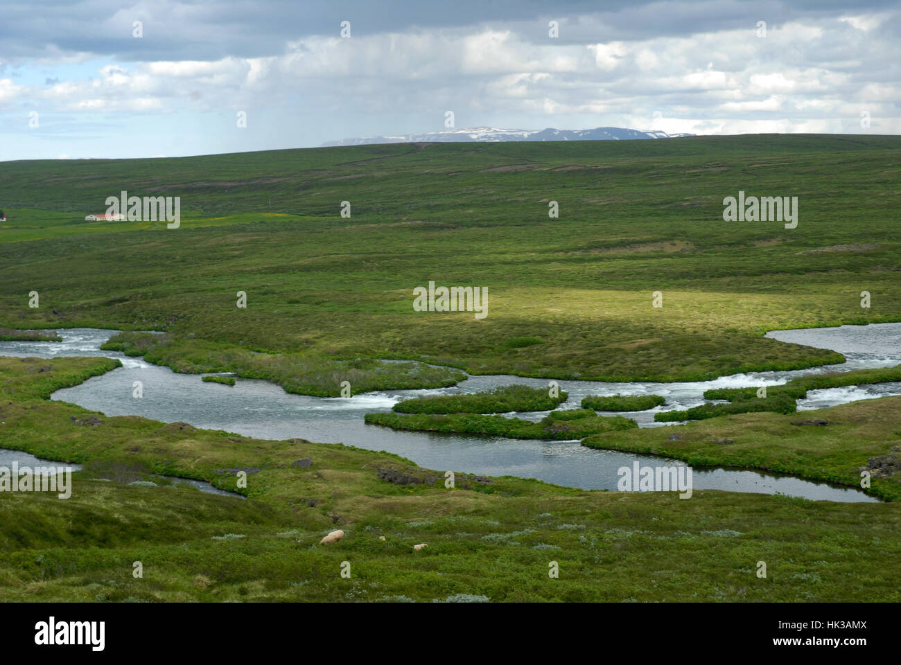 Glacial stream and ponds, Iceland Stock Photo - Alamy