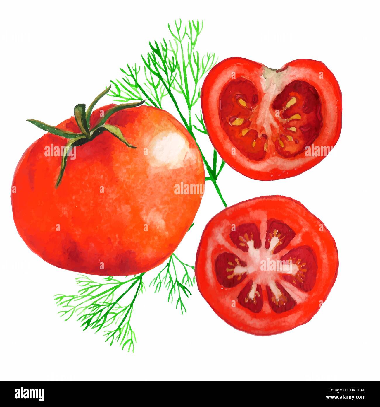 Painting brush detail Stock Vector Images - Alamy