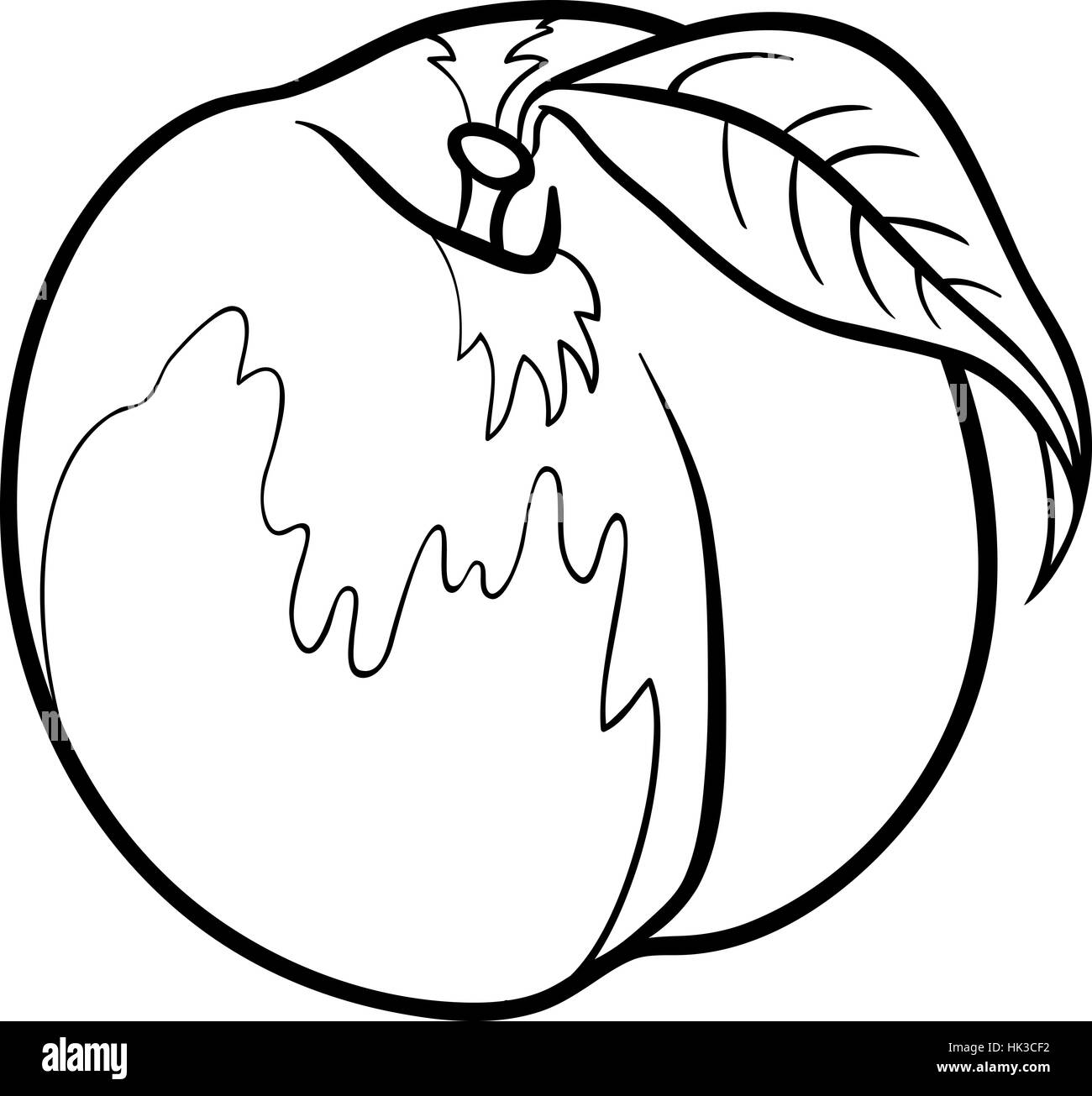 Peach Clip Art Black And White
