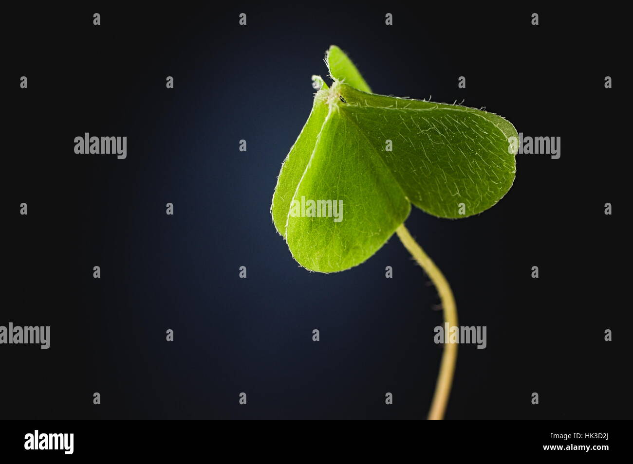 Symbolising hope hi-res stock photography and images - Alamy