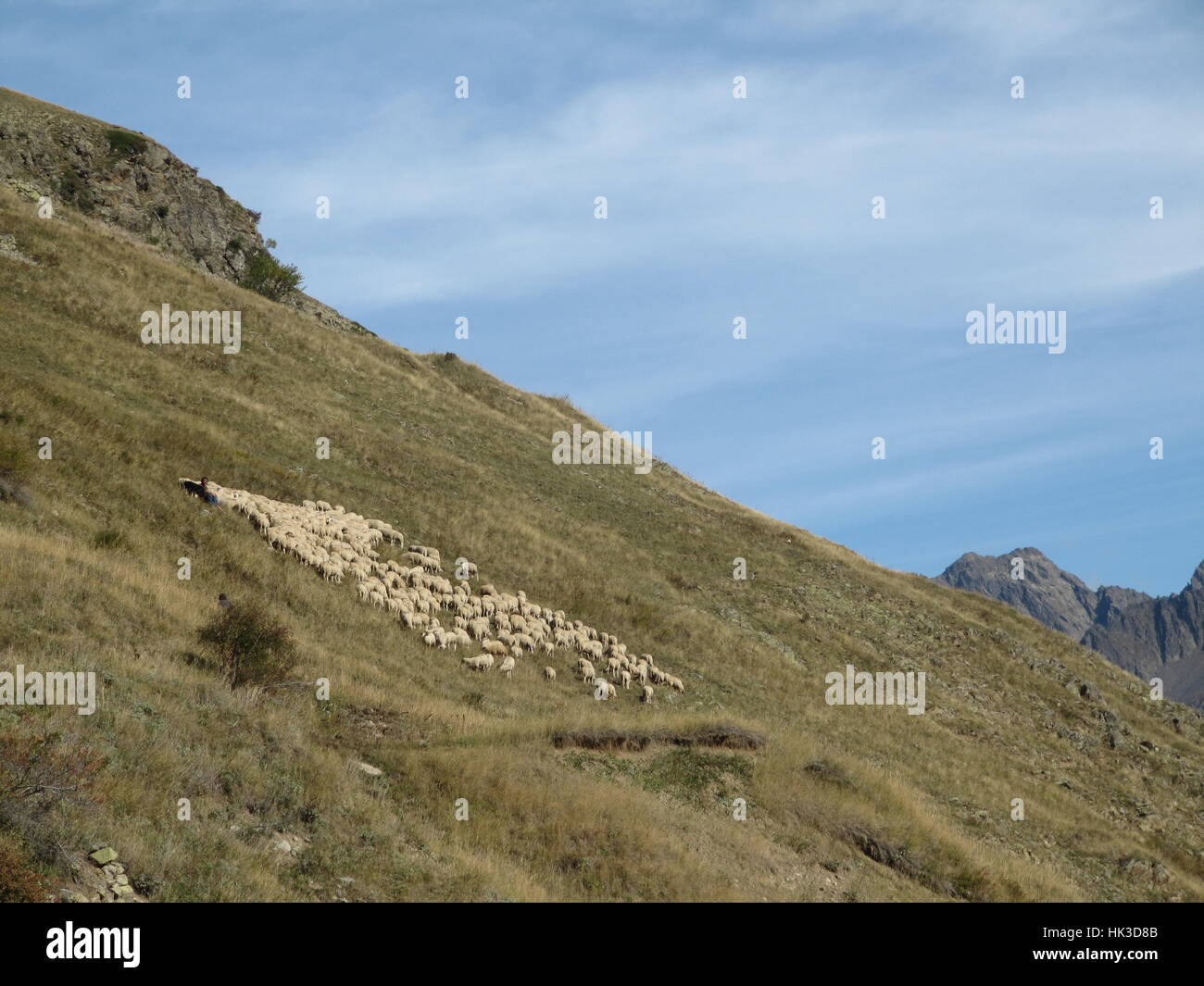 blue, mountains, national park, dog, france, german sheperd, german ...