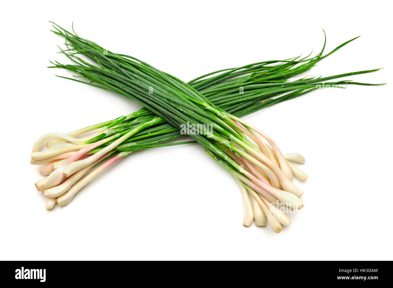 Onion leaves isolated hi-res stock photography and images - Alamy