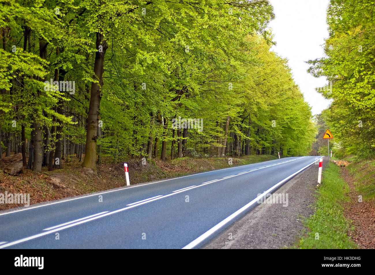 travel, tree, trees, motorway, highway, day, during the day ...