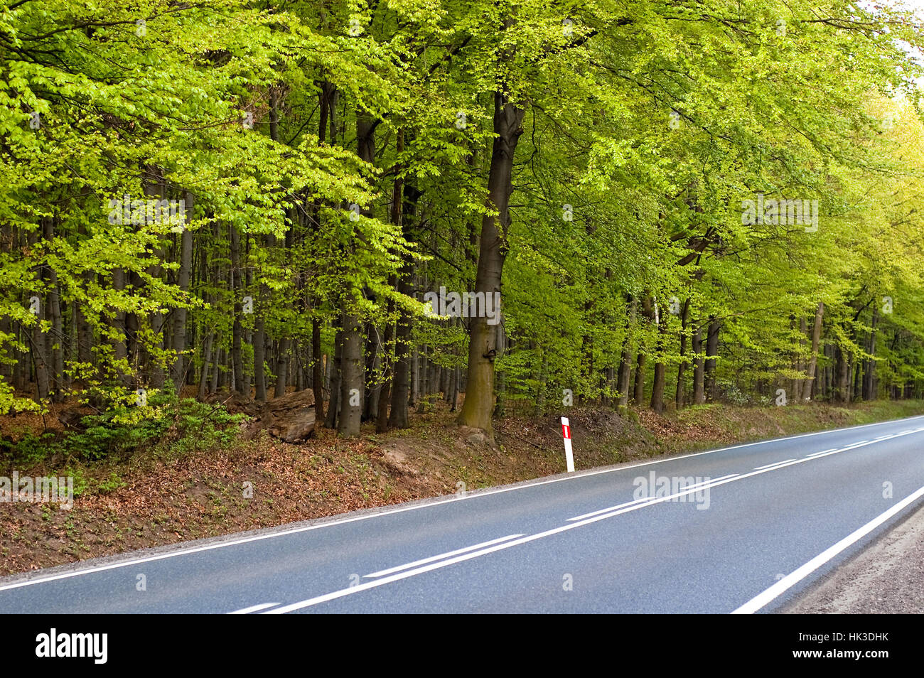 travel, tree, trees, motorway, highway, day, during the day ...