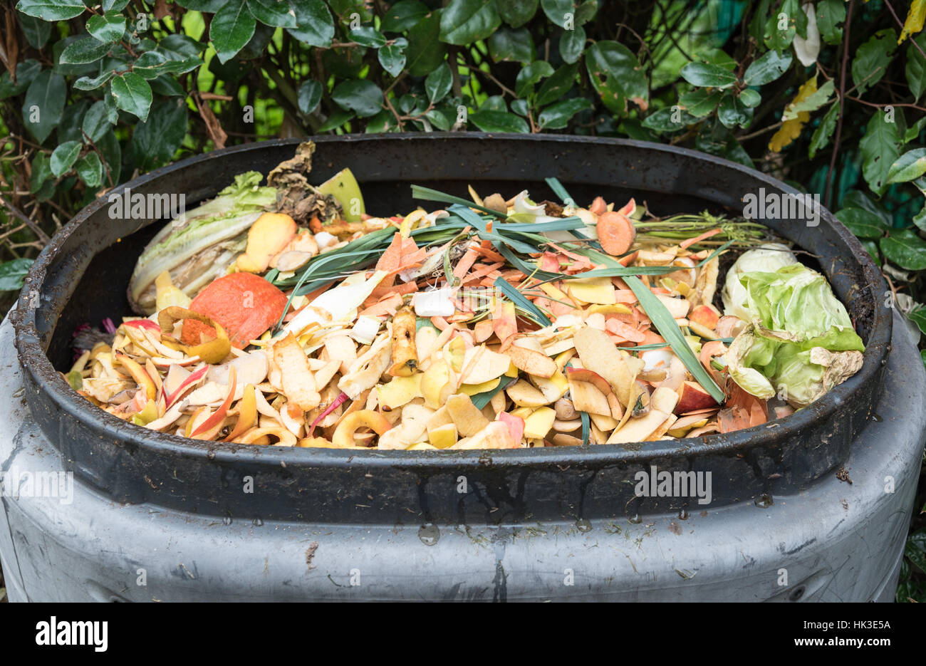 Composting the Kitchen Waste in a plastic compost bin Stock Photo - Alamy
