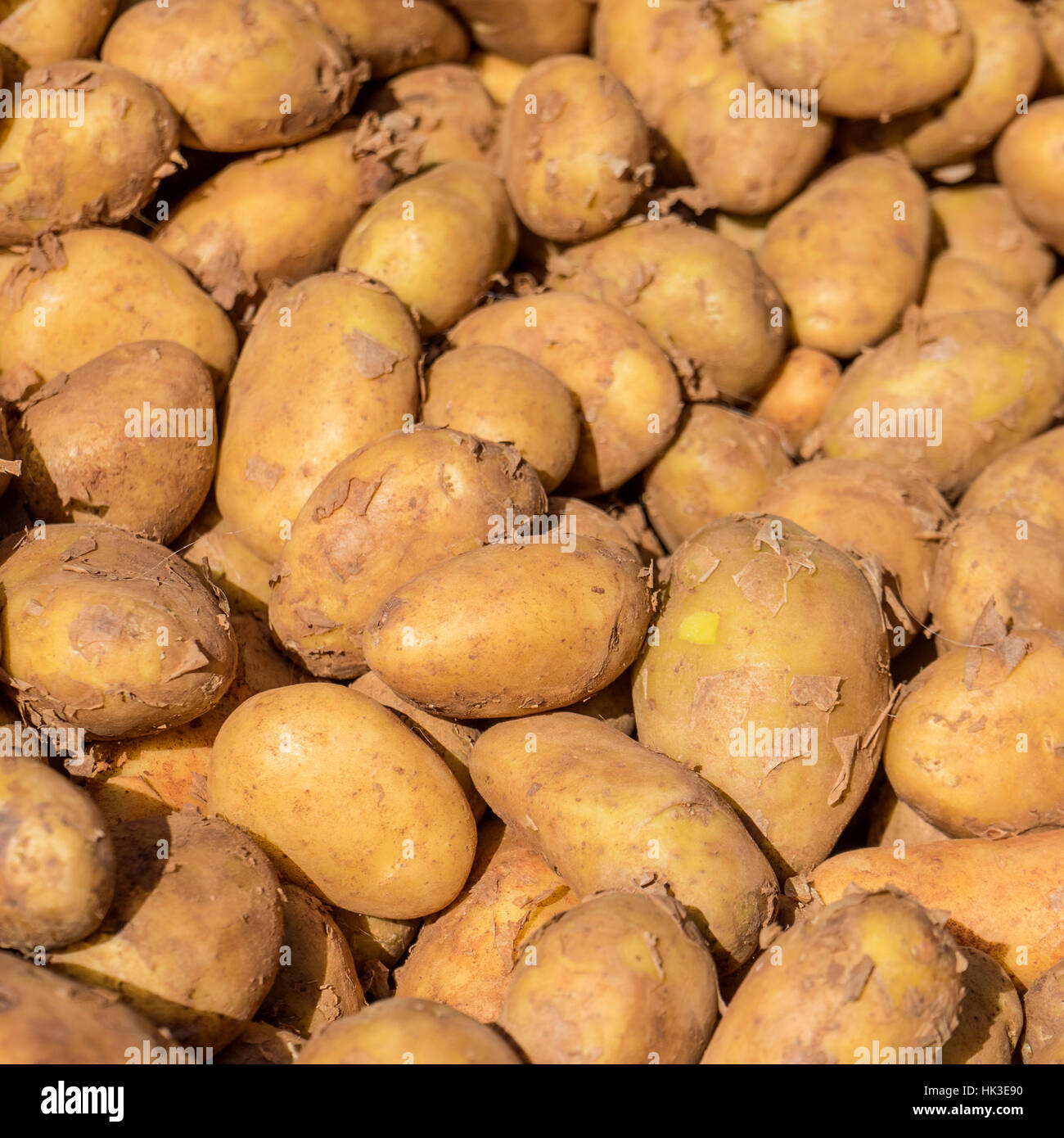 Vegetables fresh food hi-res stock photography and images - Alamy
