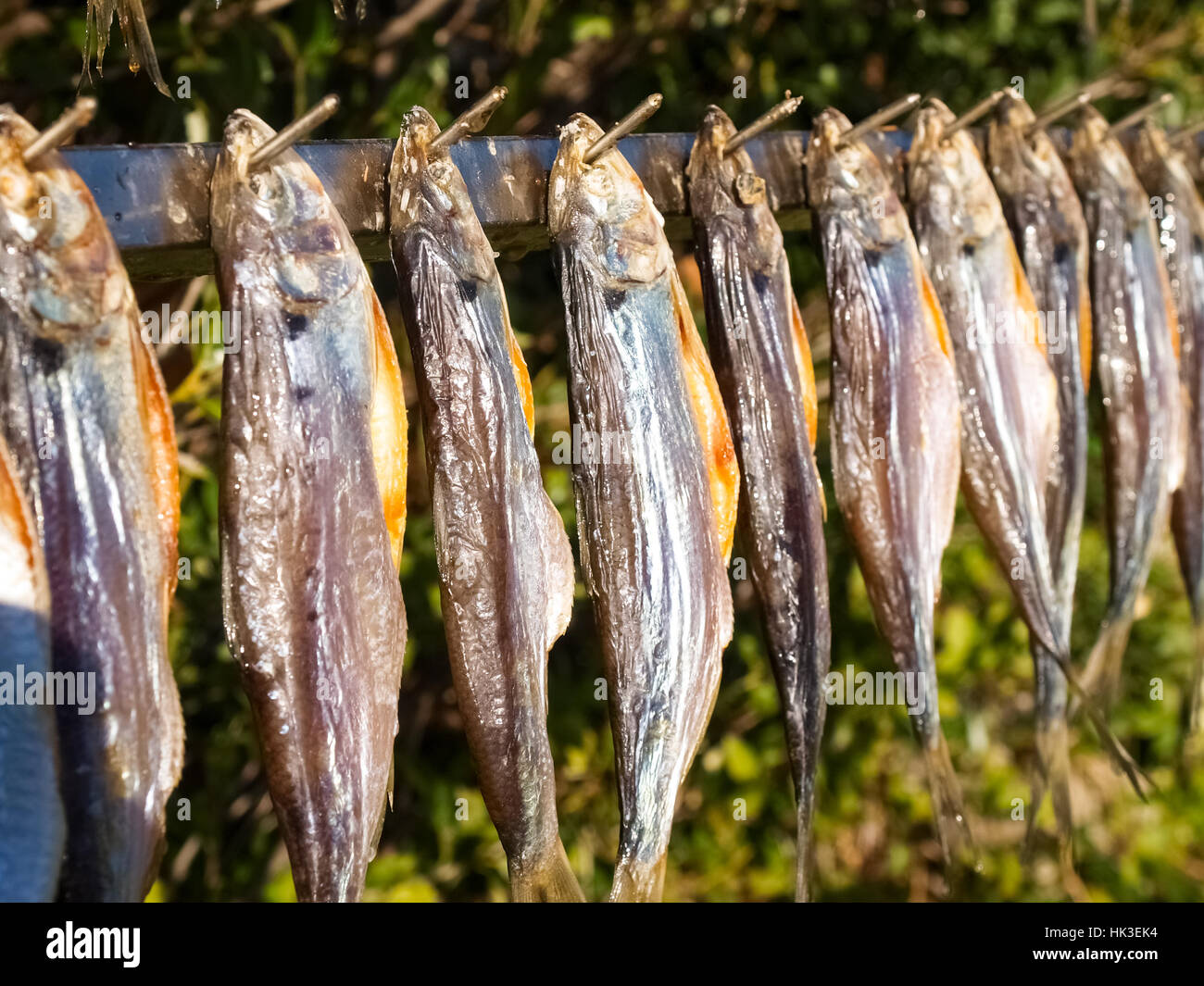 Lake Como, Italy. Typical fish named misultin dried in the sun Stock ...