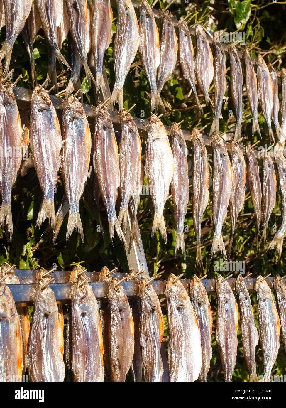 Lake Como, Italy. Typical fish named misultin dried in the sun Stock ...