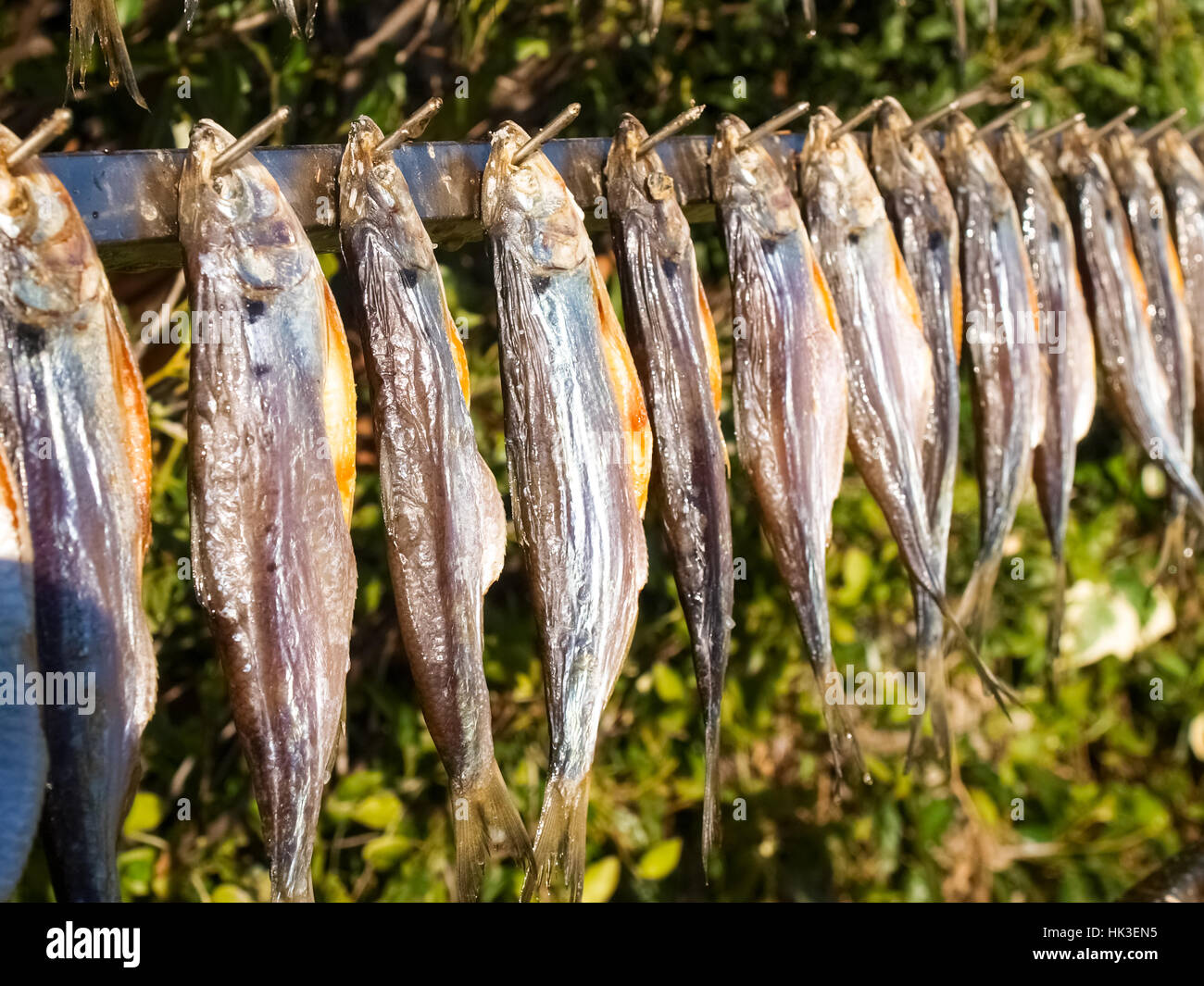 Lake Como, Italy. Typical fish named misultin dried in the sun Stock ...