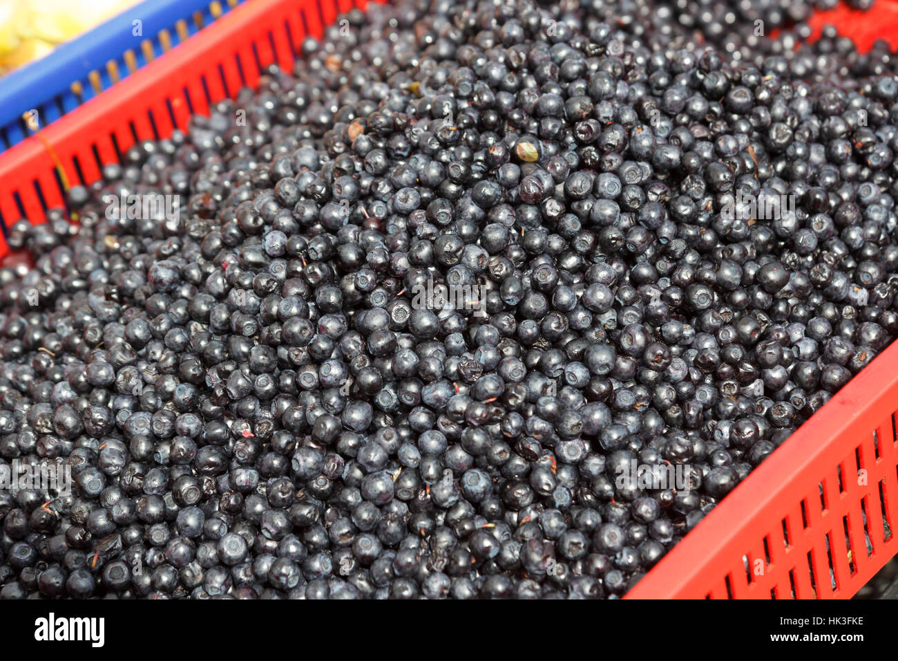 Blueberry Box High Resolution Stock Photography and Images - Alamy