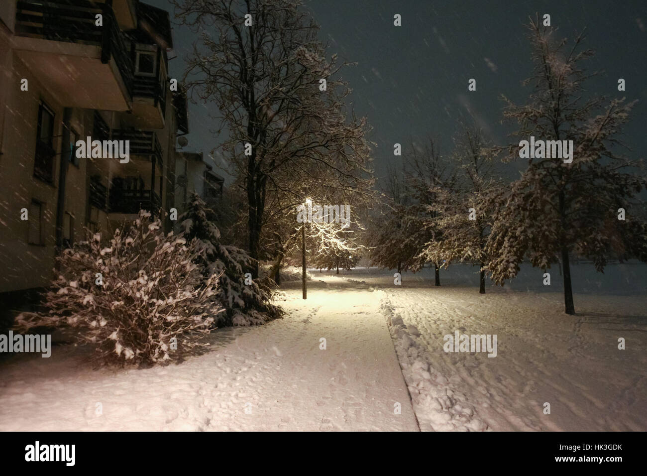 A street covered in snow during snowfall at night Stock Photo - Alamy