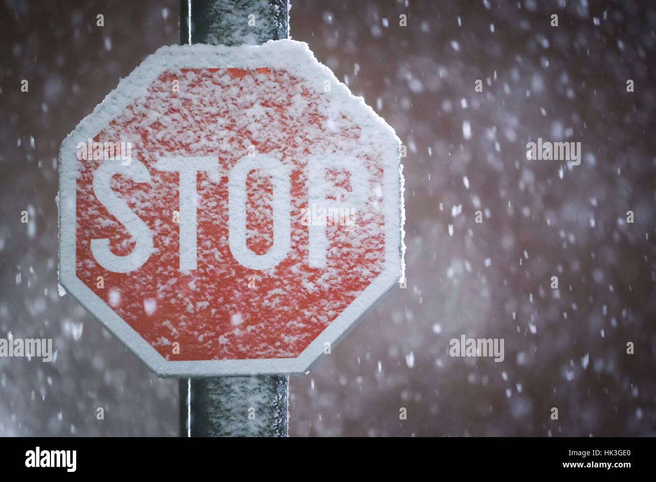 A close up of a traffic stop sign covered in snow during snowfall Stock ...