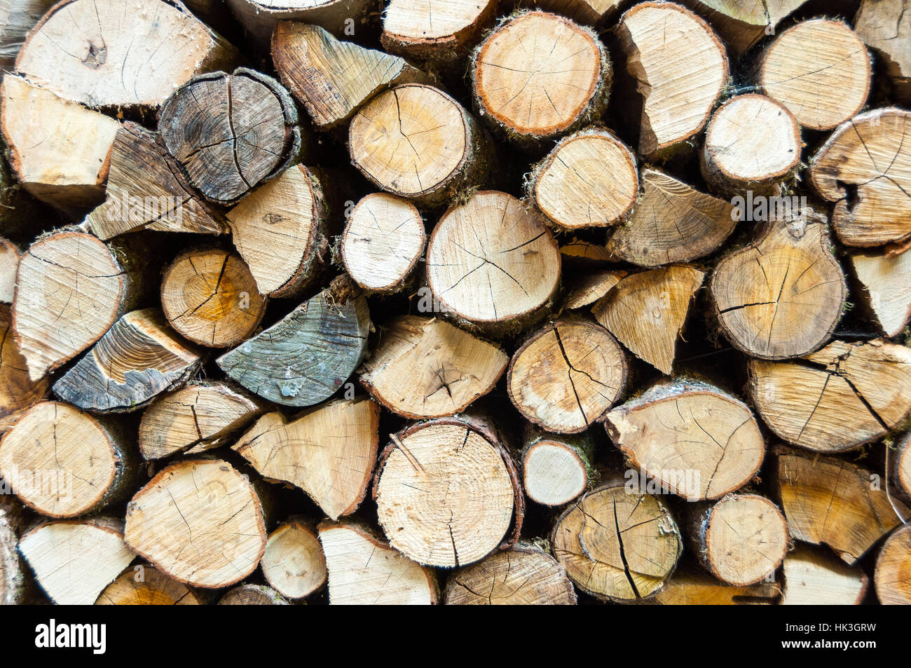 Stacked and cut logs Stock Photo - Alamy