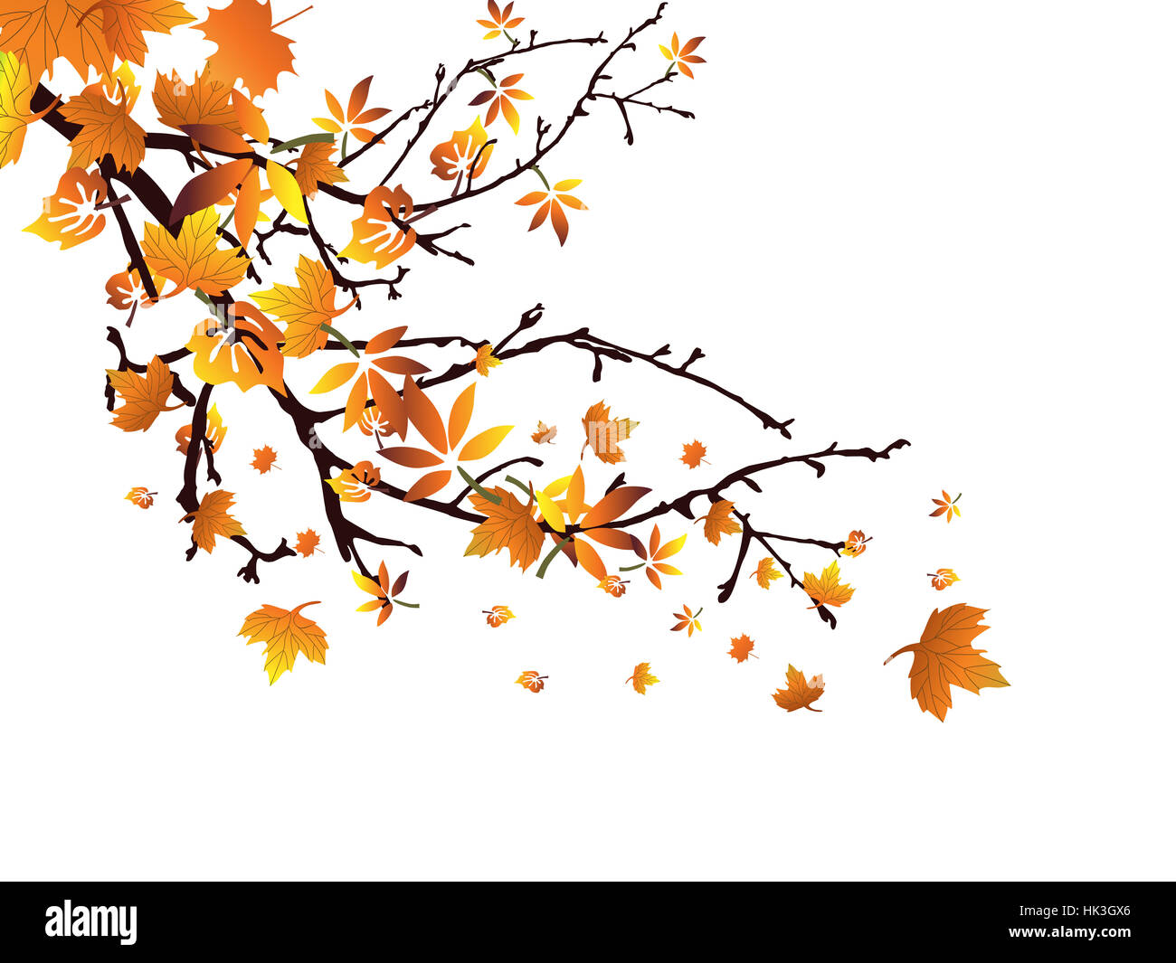 leaf, art, tree, branch, season, floral, nature, fall, autumn ...