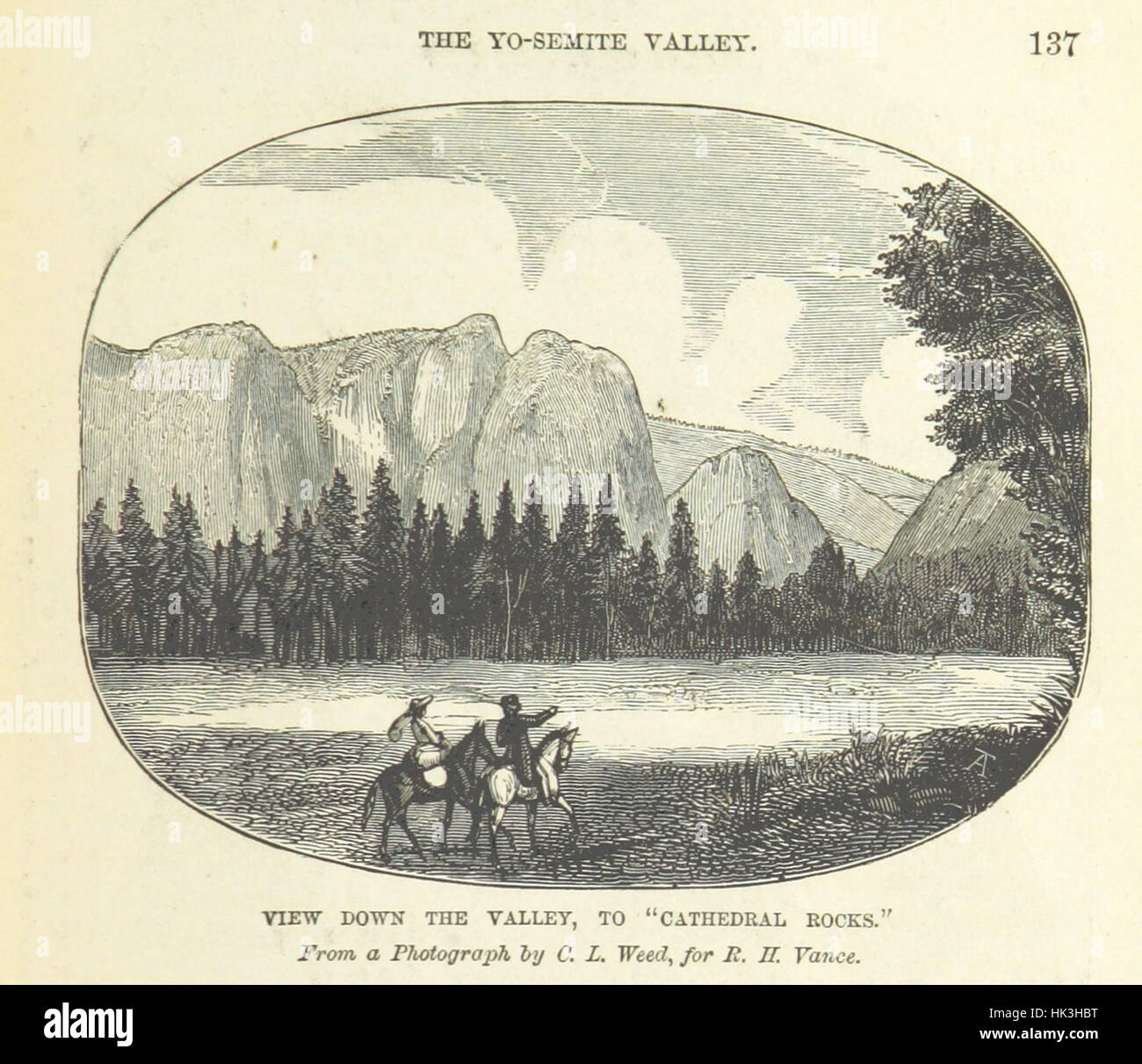 Image from 'Scenes of wonder and curiosity in California', showcasing ...
