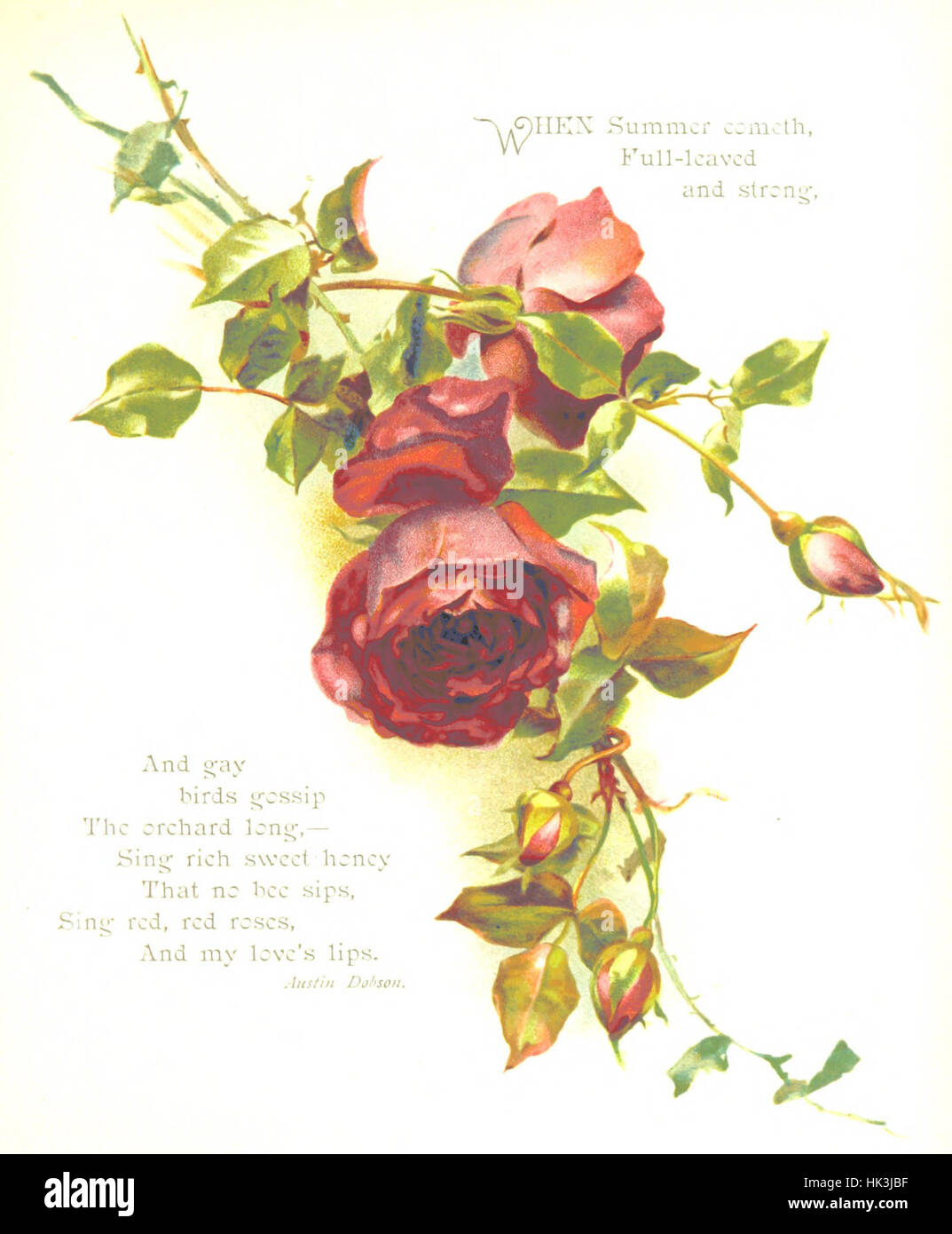 Image from 'Rose Leaves,' a collection of poems about roses ...