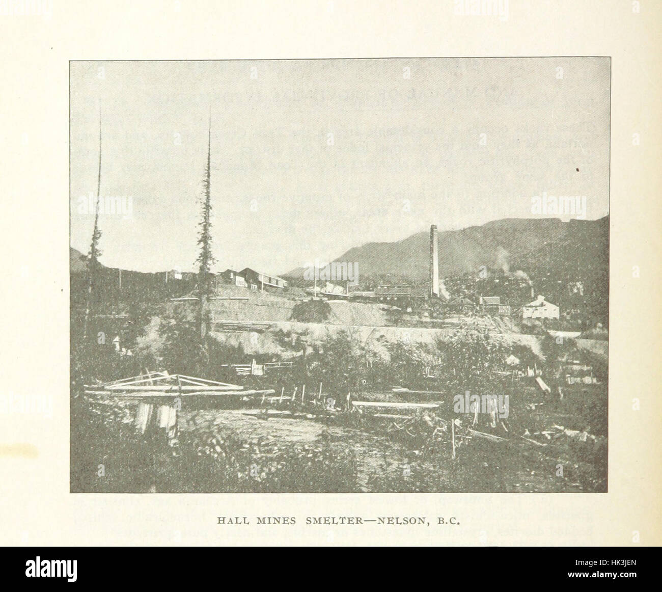 Image taken from page 150 of 'The Year Book of British Columbia ...