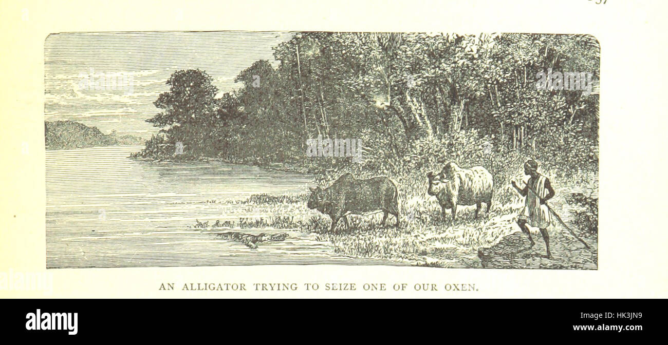 After Ophir; or, a search for the South African Gold Fields ... With ...
