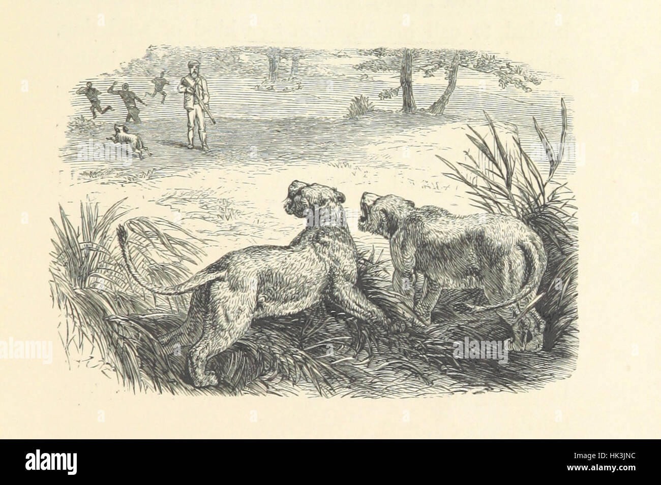 A page from 'African Hunting,' documenting hunting expeditions across ...