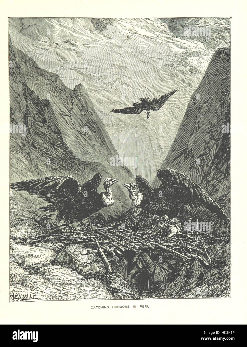 An illustration from 'Wonderland, or, Curiosities of Nature and Art ...