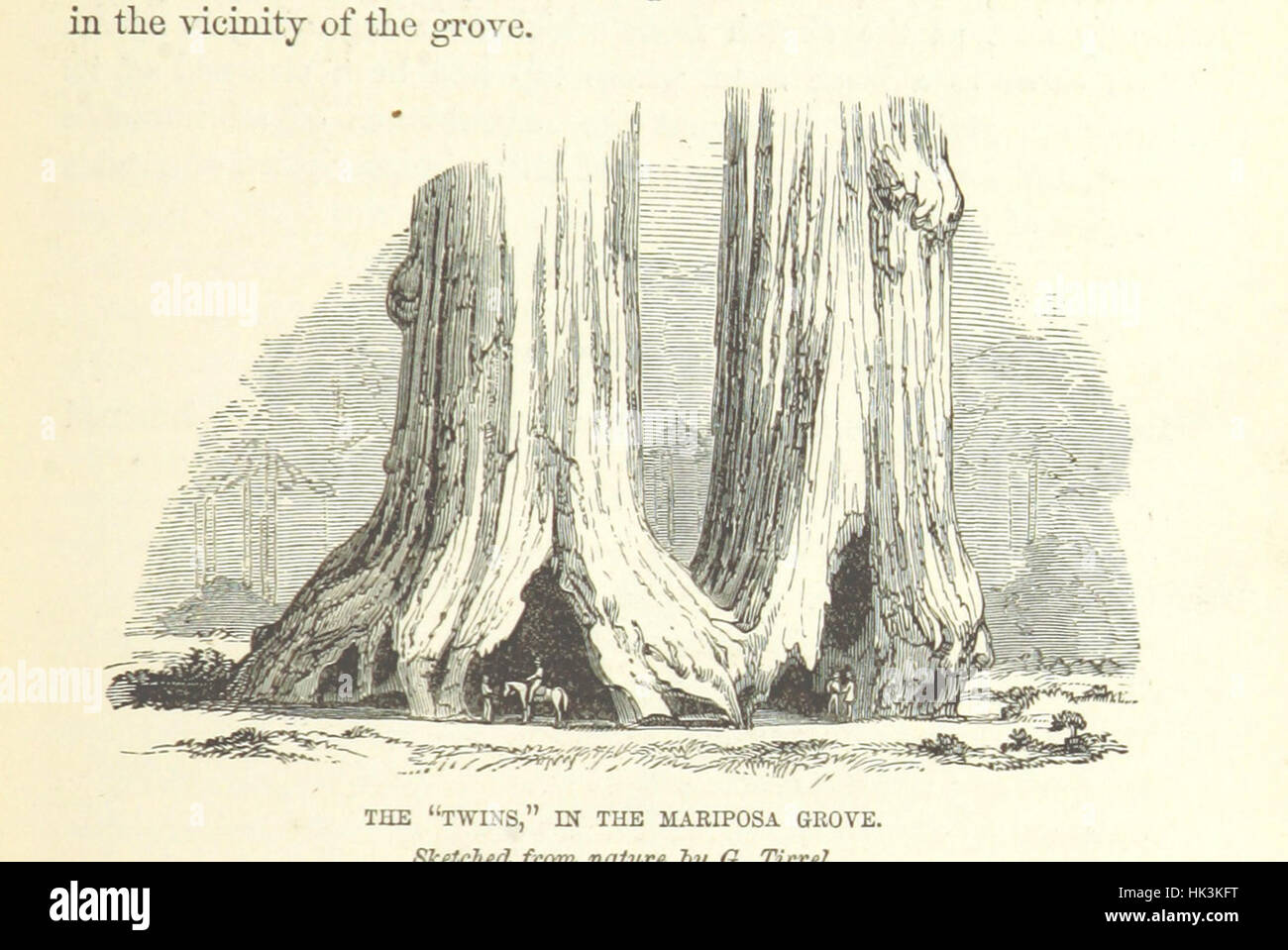 An illustration from 'Scenes of wonder and curiosity in California ...