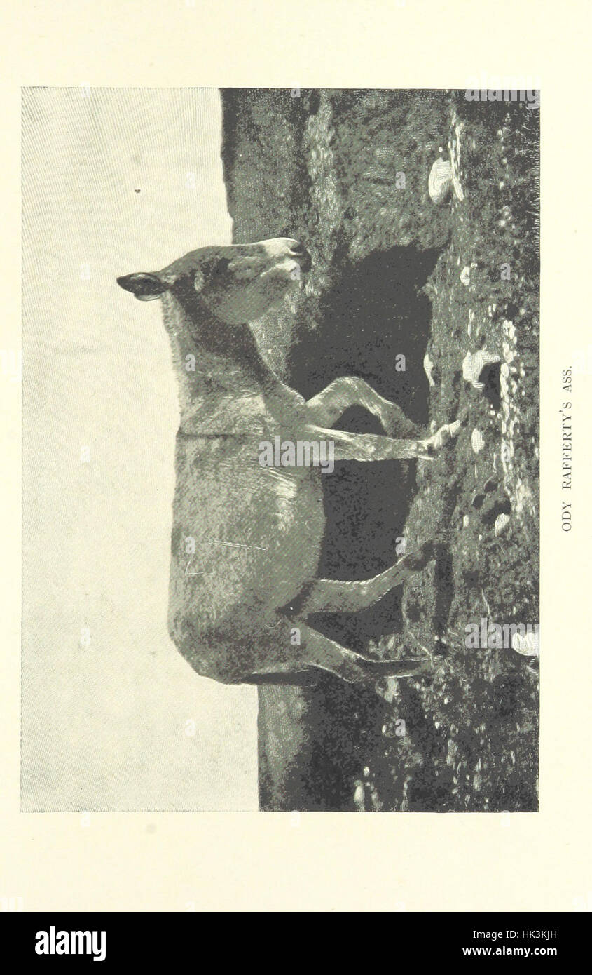Image taken from page 153 of '[Irish Idylls]', showcasing idyllic views ...