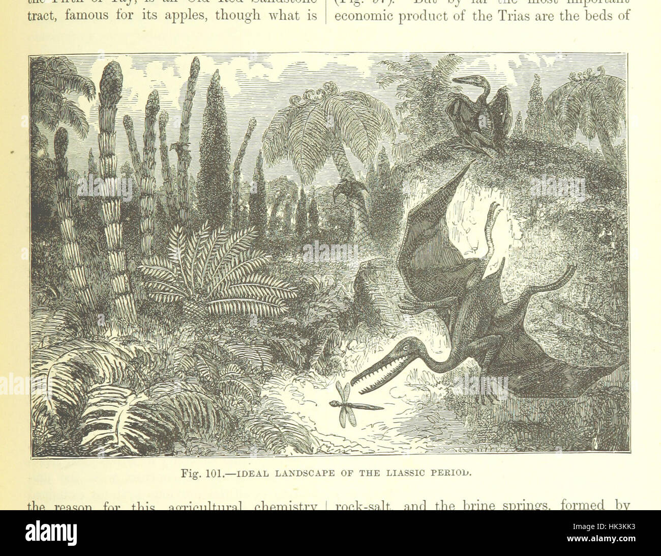 Image from 'Our Earth and its Story,' depicting a section of physical ...