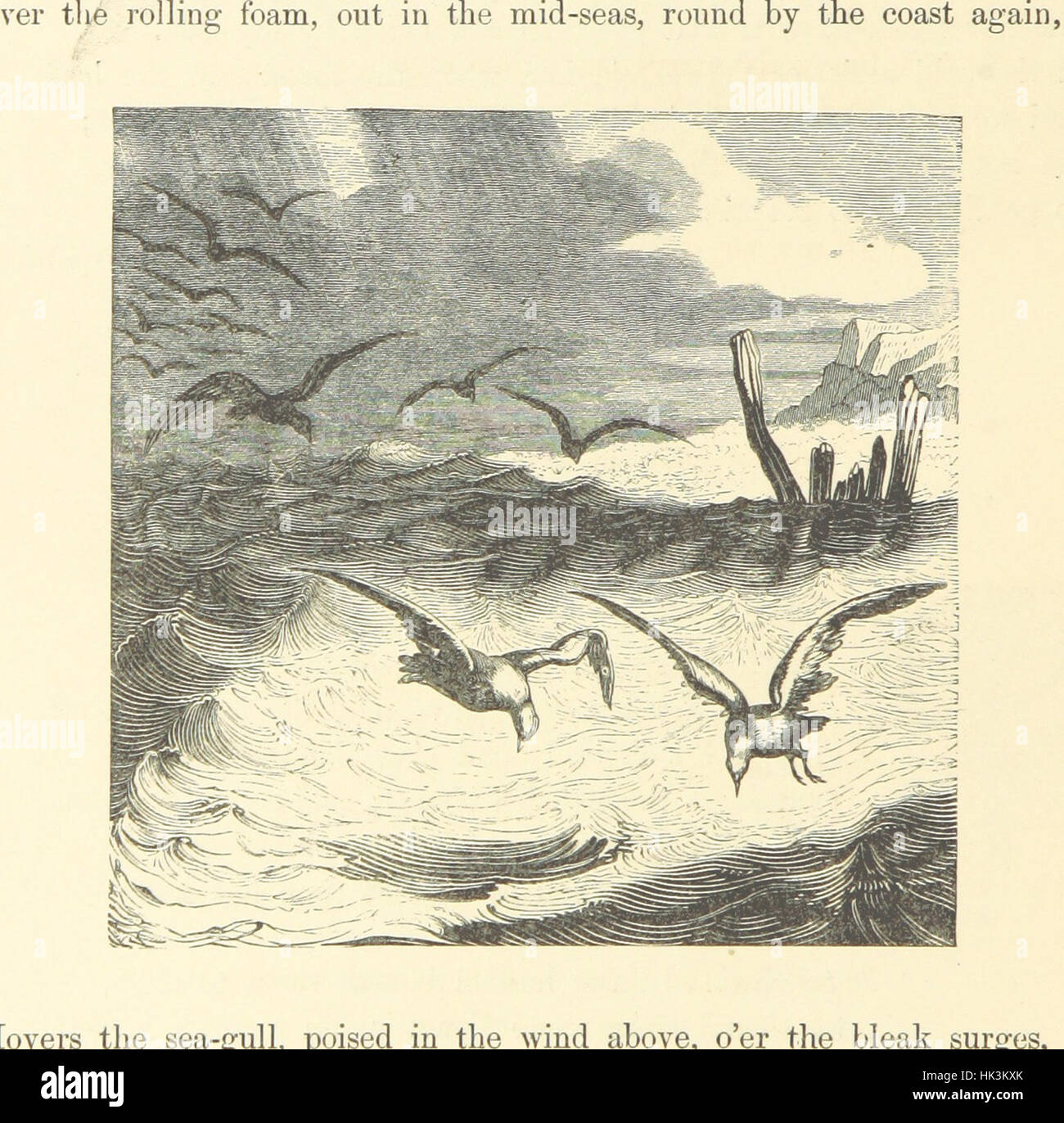 Woodland Wild: a selection of descriptive poetry. From various authors ...