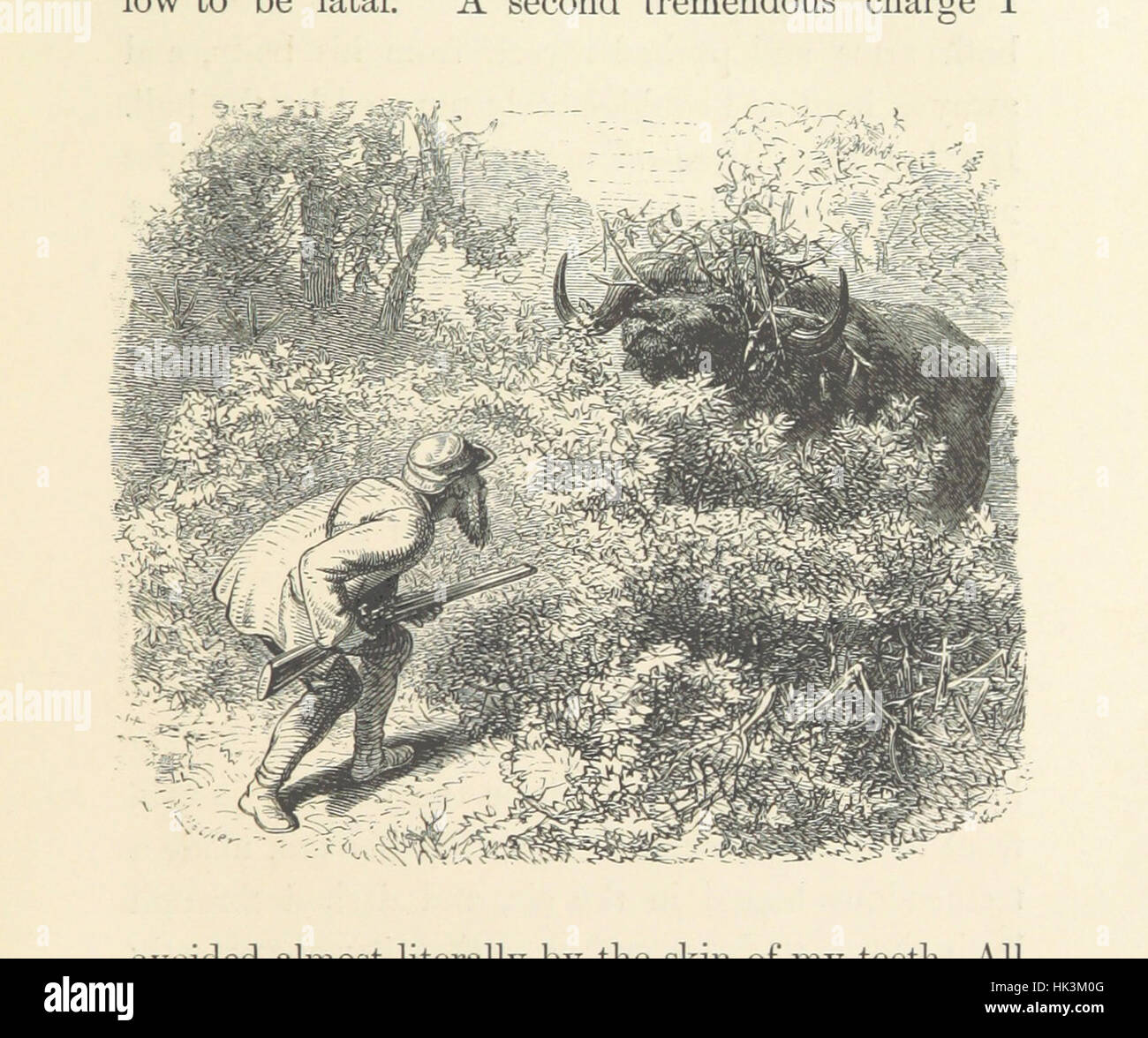 An image from 'African Hunting from Natal to the Zambesi', depicting ...