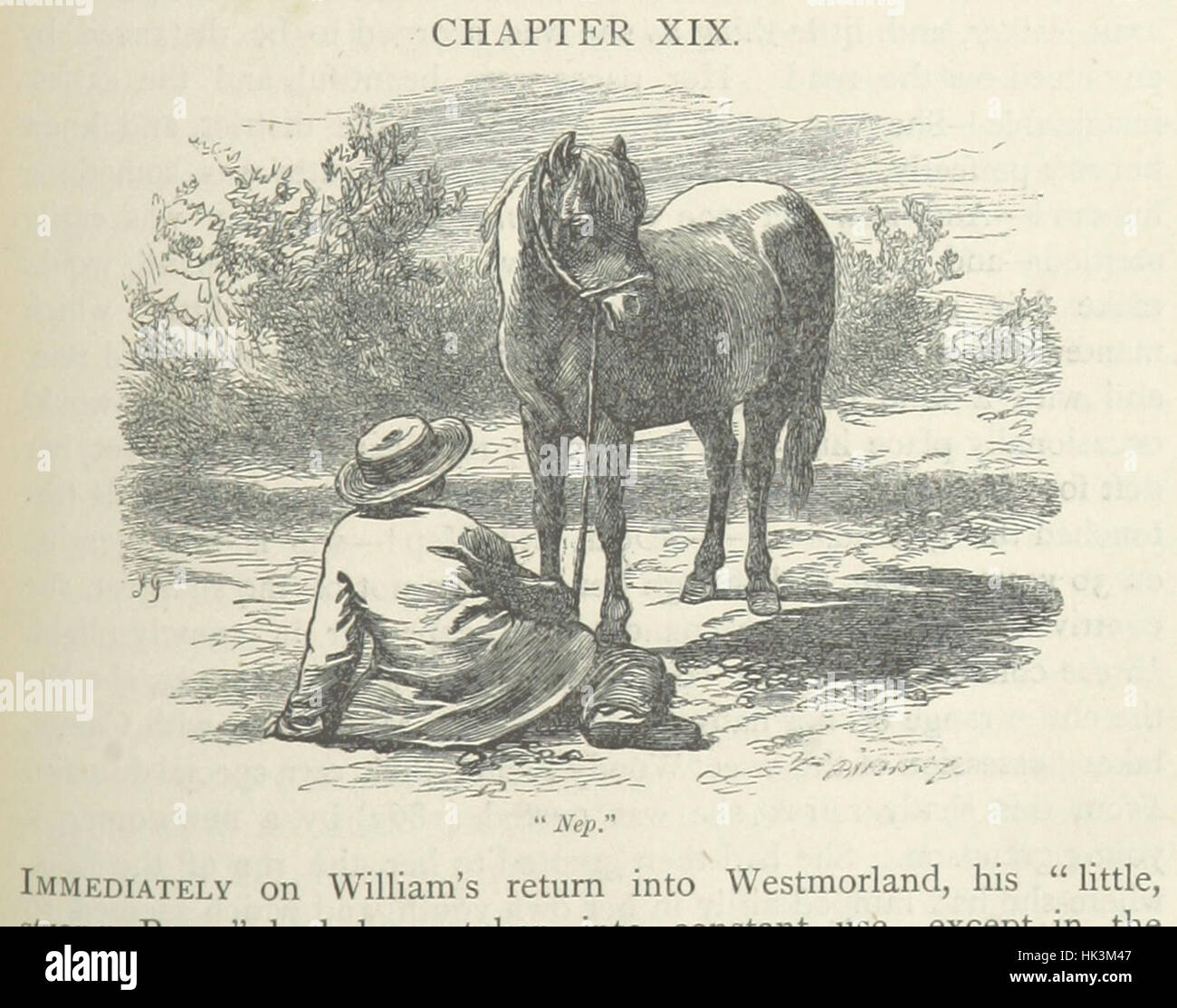 Image from 'Papers, Letters and Journals of William Pearson,' featuring ...