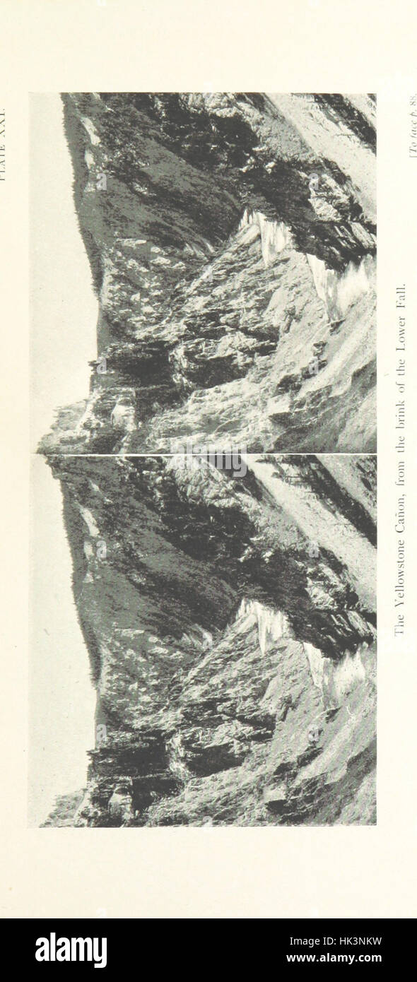 Illustration from the book 'Impressions of America,' showing scenes ...