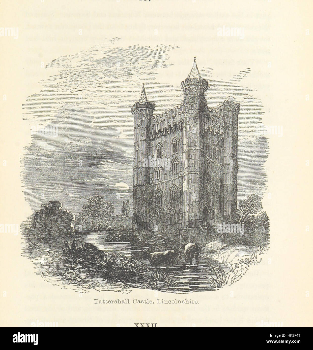 An illustration from 'Danes, Saxons, and Normans', showcasing stories ...