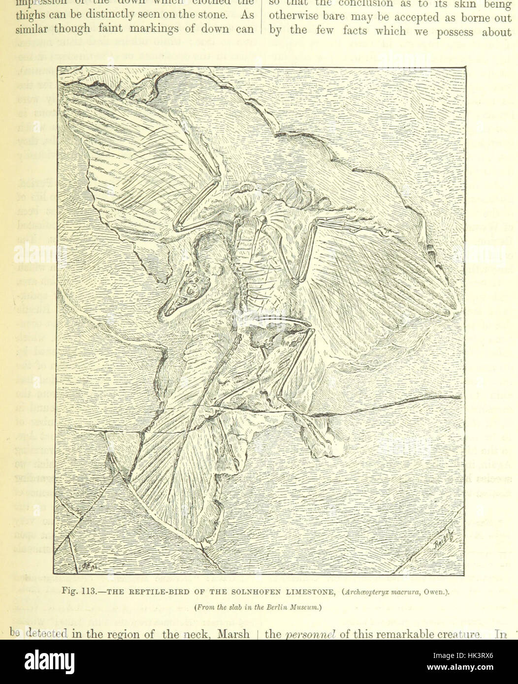 An illustration from 'Our Earth and its Story' showing physical ...
