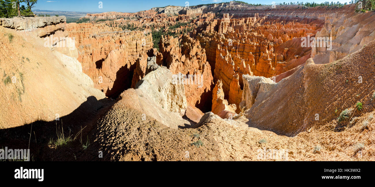 environment, enviroment, tree, america, plateau, environment ...