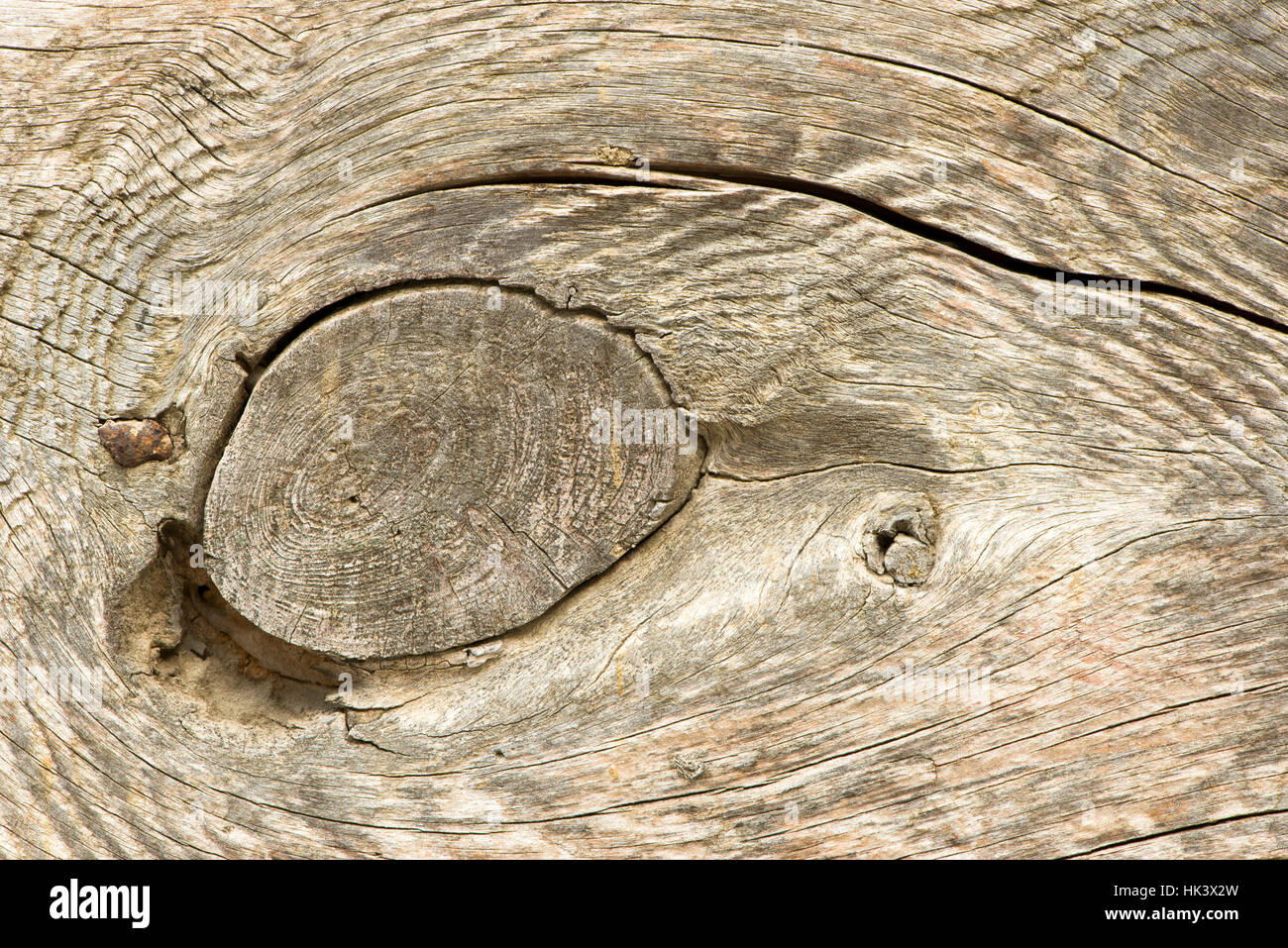 board, desk, macro, close-up, macro admission, close up view, model ...