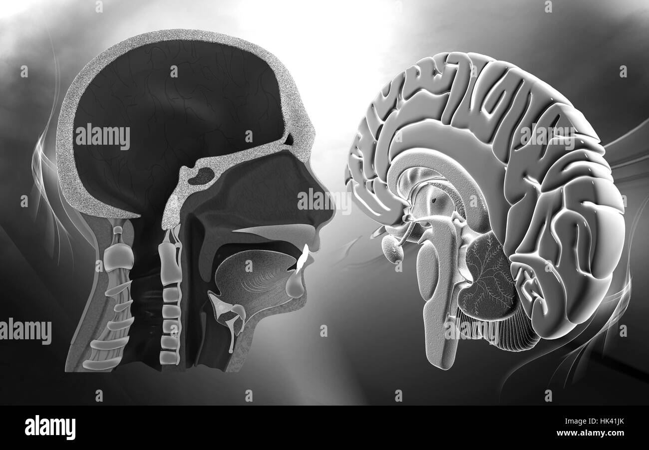 health, medicinally, medical, graphics, colour, human, human being ...