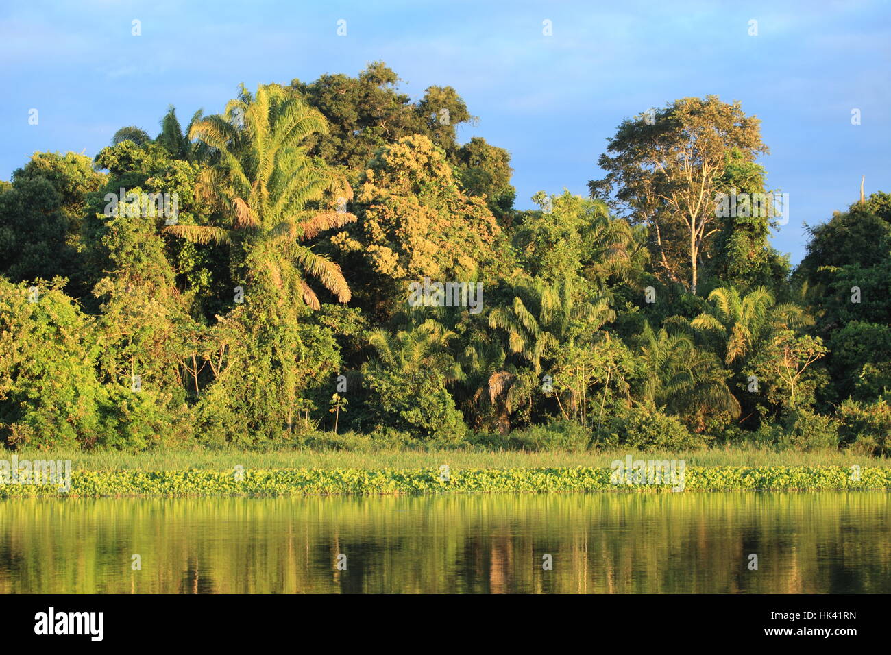 Parque nacional madidi, bolivia hi-res stock photography and images - Alamy