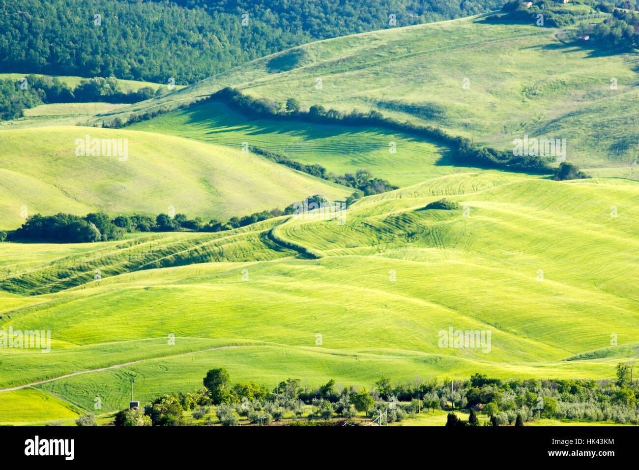 environment, enviroment, tree, hill, sunset, field, summer, summerly ...
