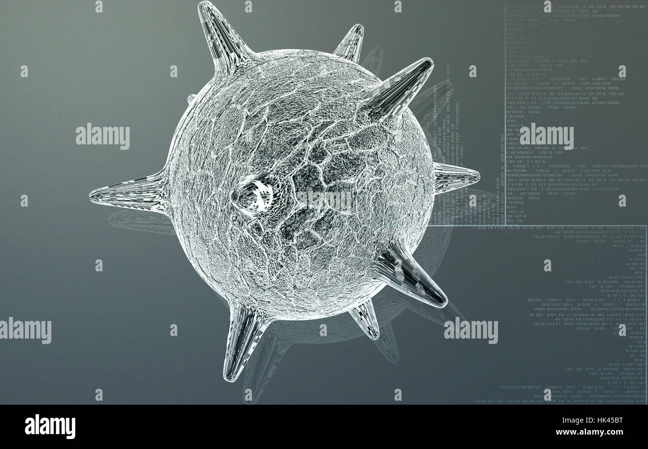 education, medicinally, medical, graphics, colour, science ...