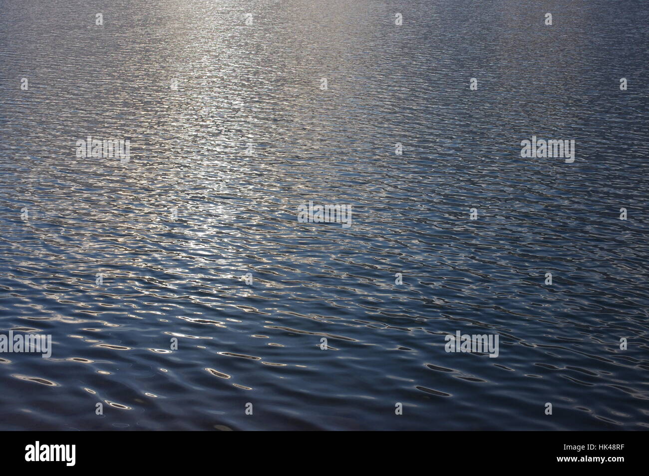 salt water, sea, ocean, water, nature, wave, sunshine, salt water, sea ...