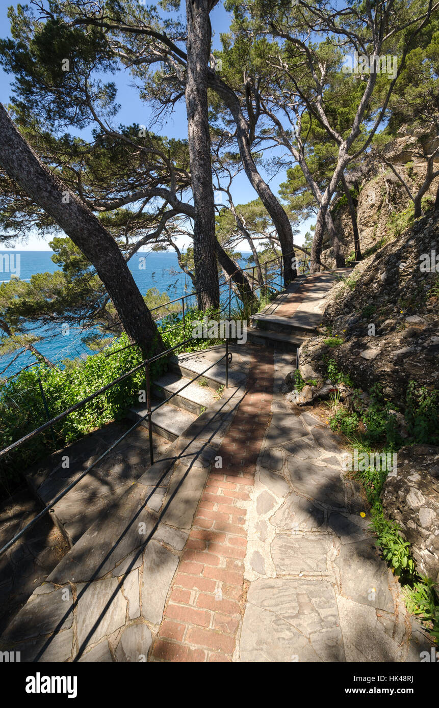 stone, national park, tourism, road, street, environment, enviroment ...