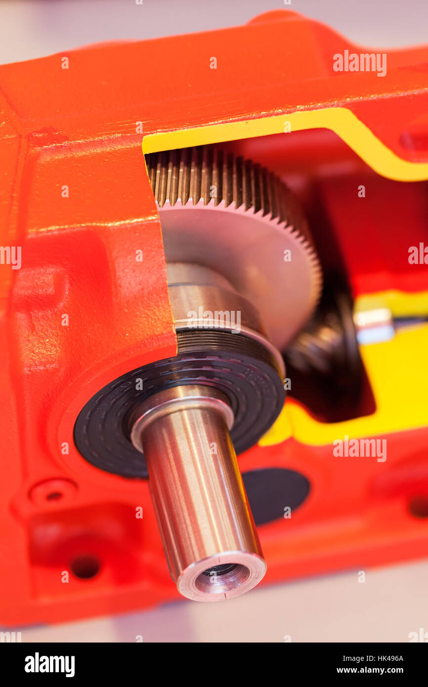 section of vertical gear unit with cylindrical gears, note shallow ...