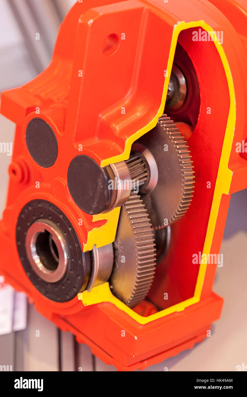 section of vertical gear unit with cylindrical gears, note shallow ...