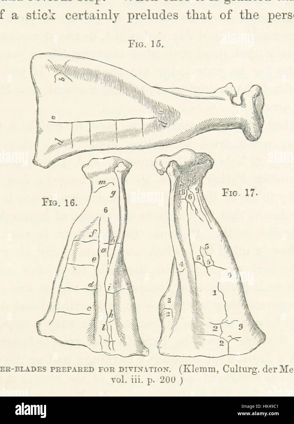 Image from 'The Origin of Civilisation and the Primitive Condition of ...