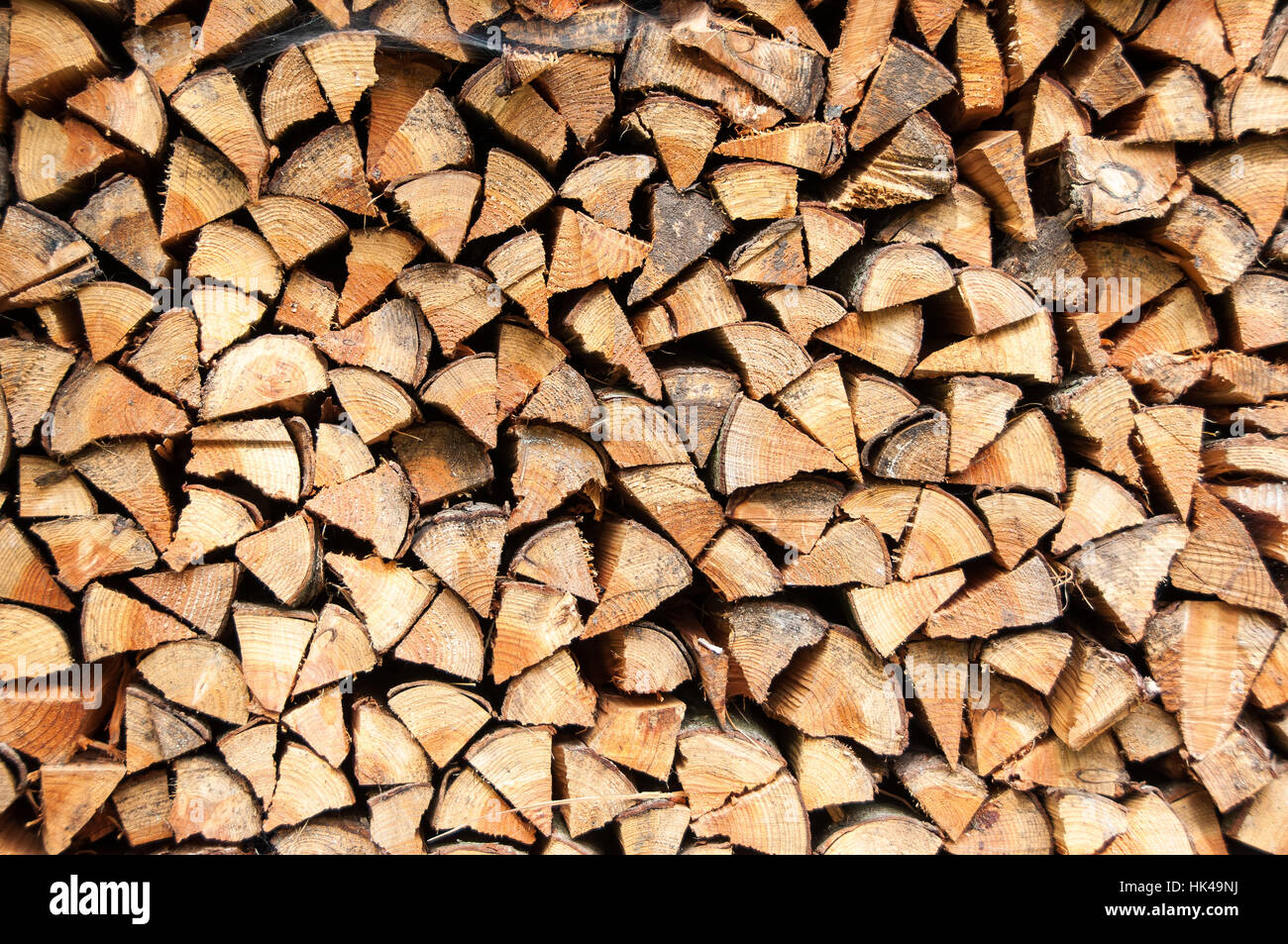 Stacked and cut logs Stock Photo - Alamy