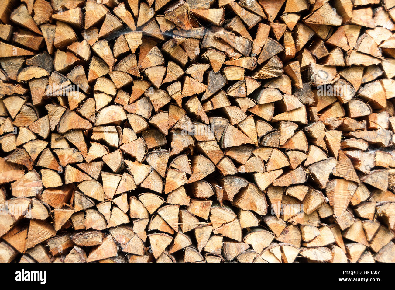 Stacked and cut logs Stock Photo - Alamy