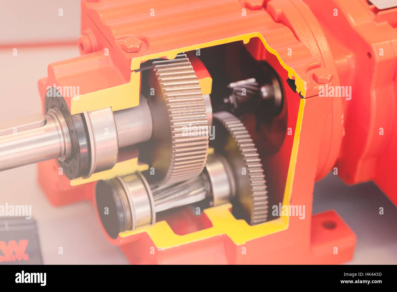 section of vertical gear unit with cylindrical gears, note shallow ...